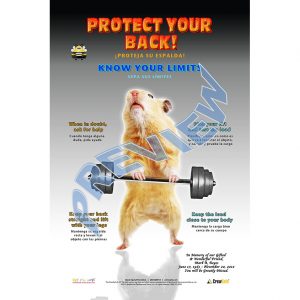 Back Injury Prevention Poster – CrewSafe